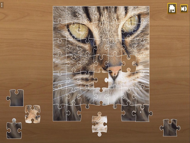 JIGSAW PUZZLE CLASSIC gra online | Gry POMU